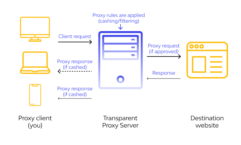 What is the Transparent Proxy